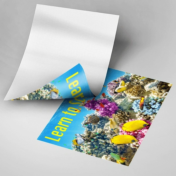 Waterproof Posters | KempCo Ltd